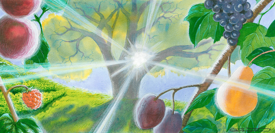 Elmore Roots Nursery