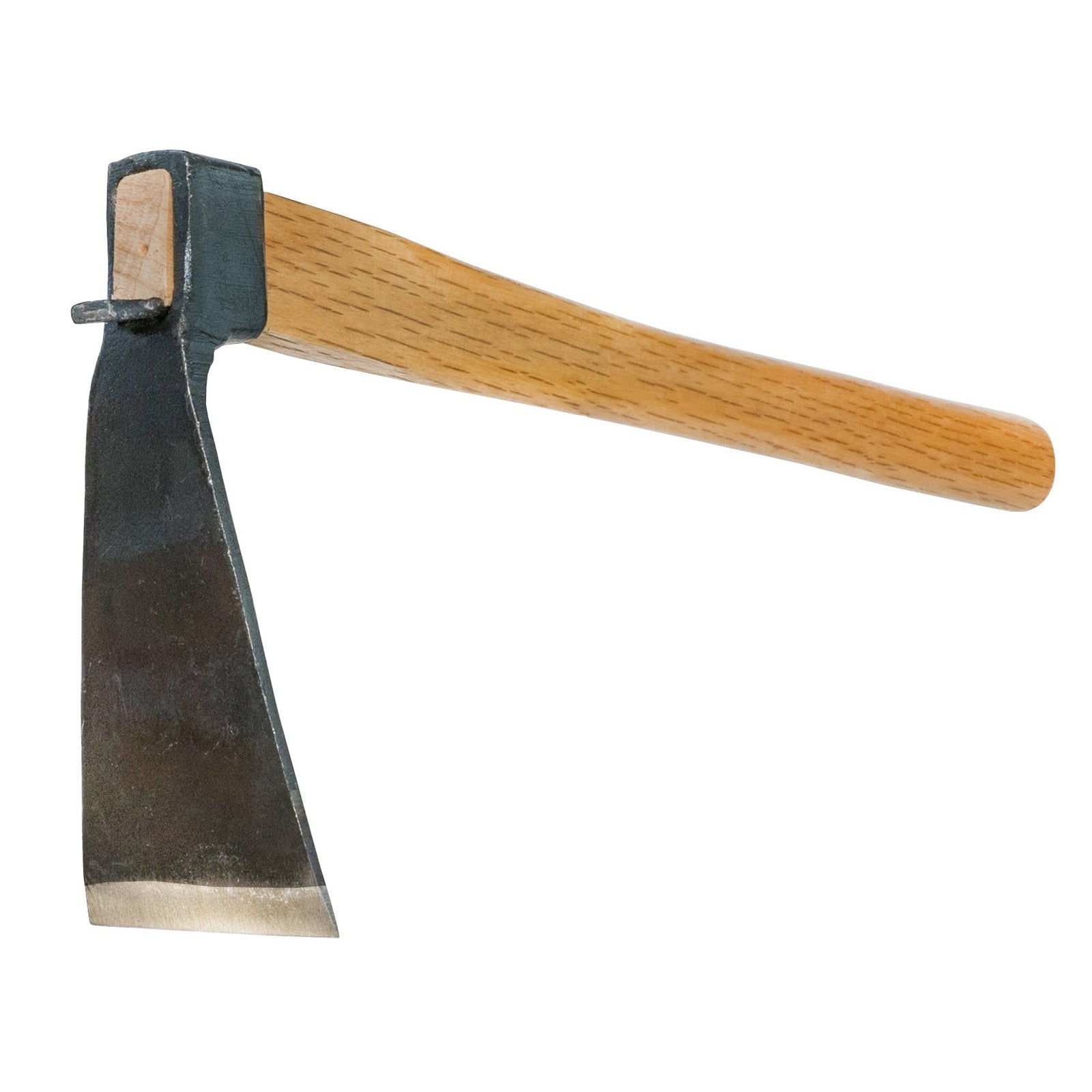 Bachi Gata Tri Hoe | Elmore Roots Nursery